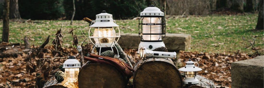 Zakelijke bestellingen Barebones - BarebonesStore